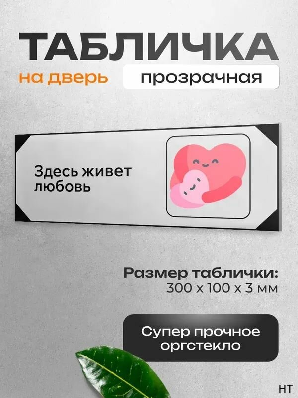 Табличка на дверь и стену, "Здесь живёт любовь", для офиса и дома, 30х10 см