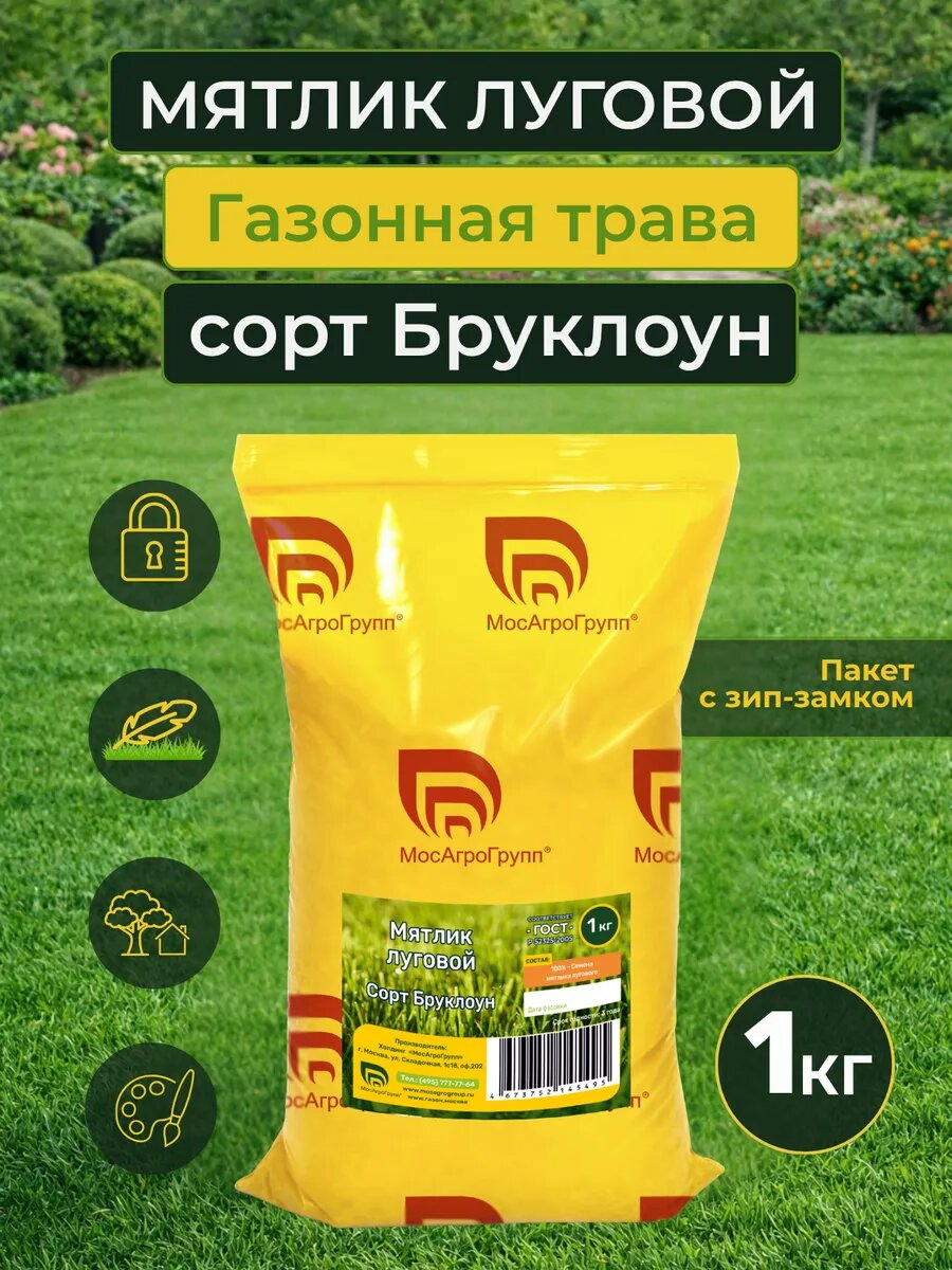 Семена мятлика лугового 1кг сорт Бруклоун Мосагрогрупп для газона