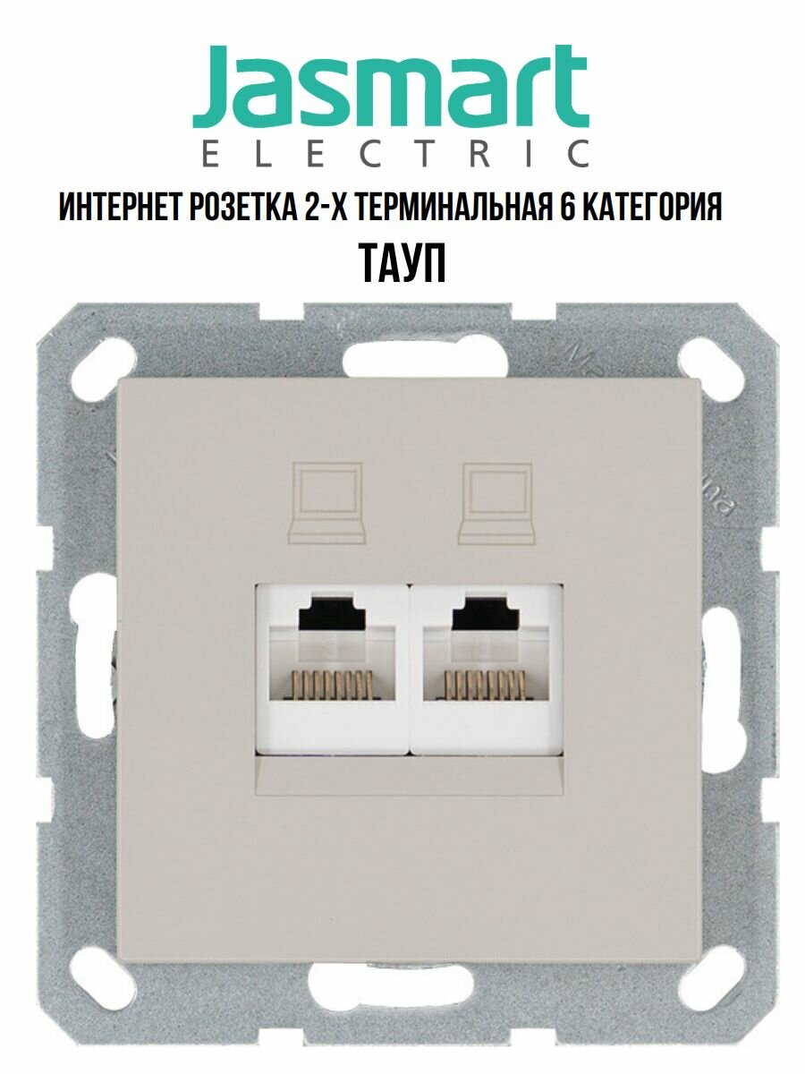 Интернет розетка 2х терминальная 6 категория