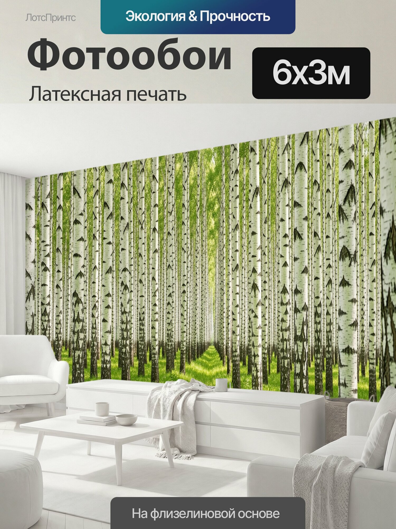 Фотообои моющиеся ударопрочные "Берёзовая роща в солнечный день. Светлый лесной пейзаж с высокими белоствольными деревьями, яркой зелёной травой и." 600x300 см. латексная печать