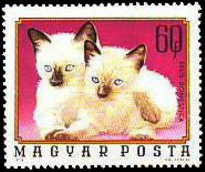 (1974-093) Марка Венгрия "Сиамские котята" , (гашеная)
