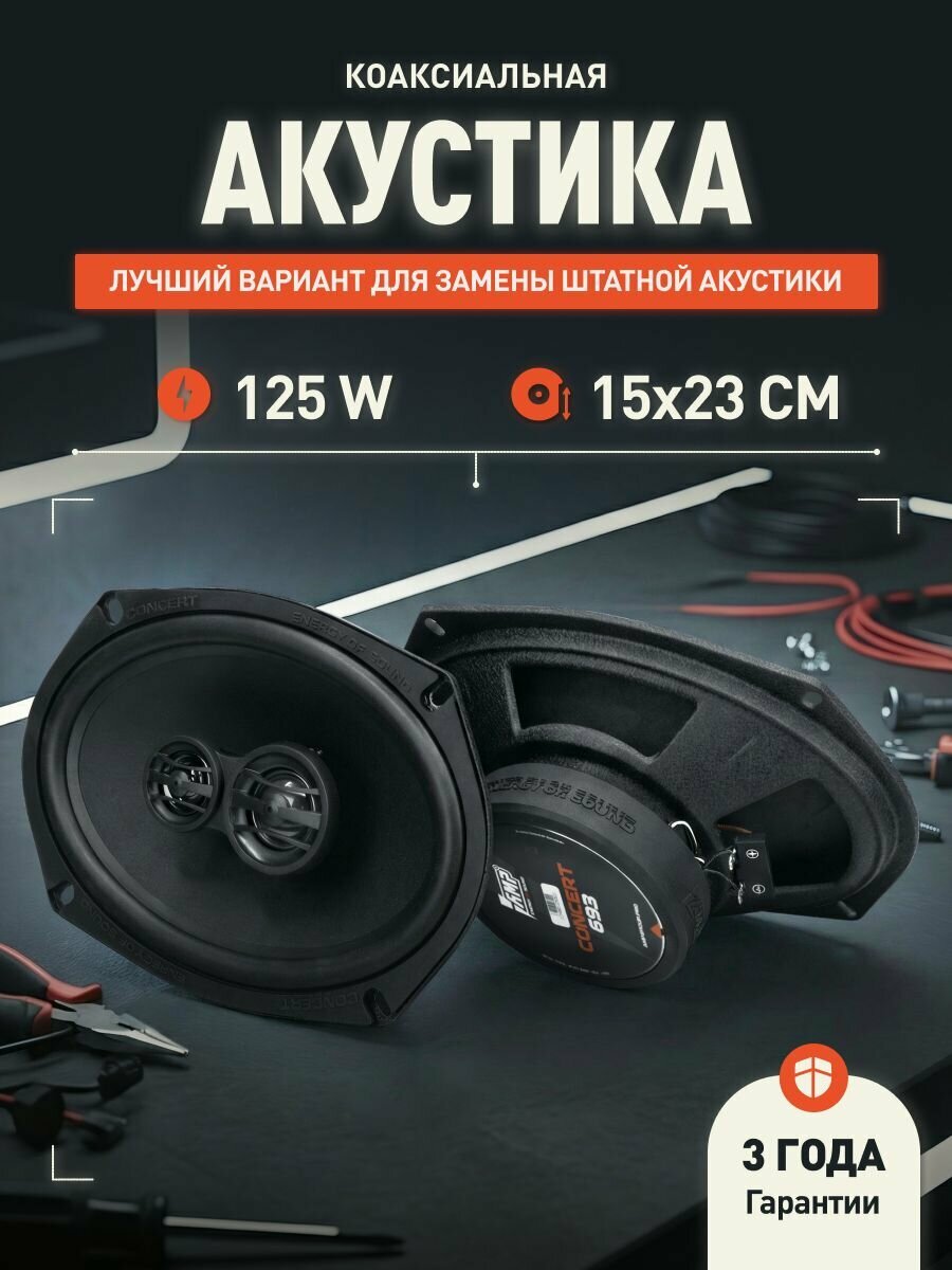 Динамики автомобильные 6х9 AMP Concert 693