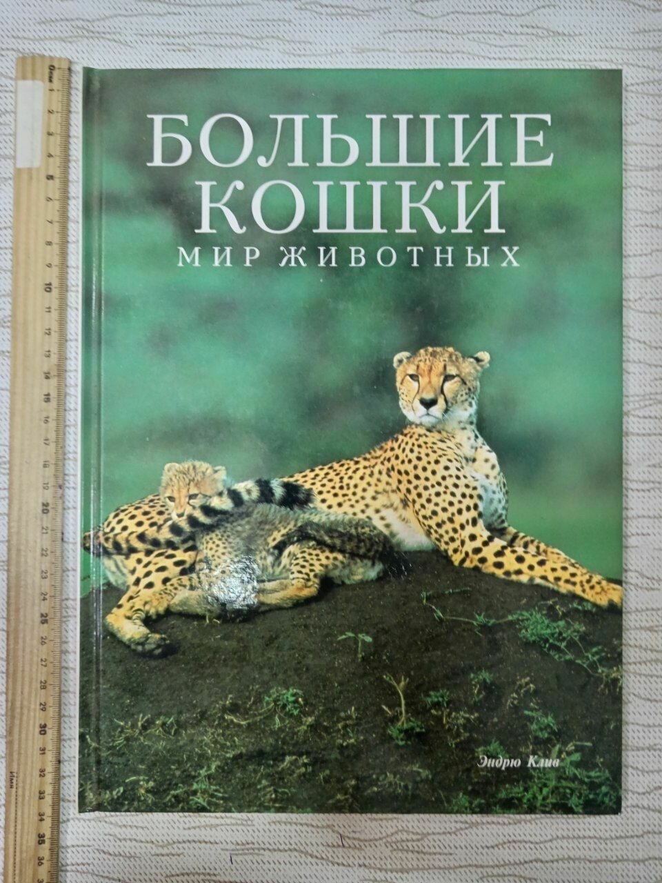 Большие кошки. Клив Эндрю