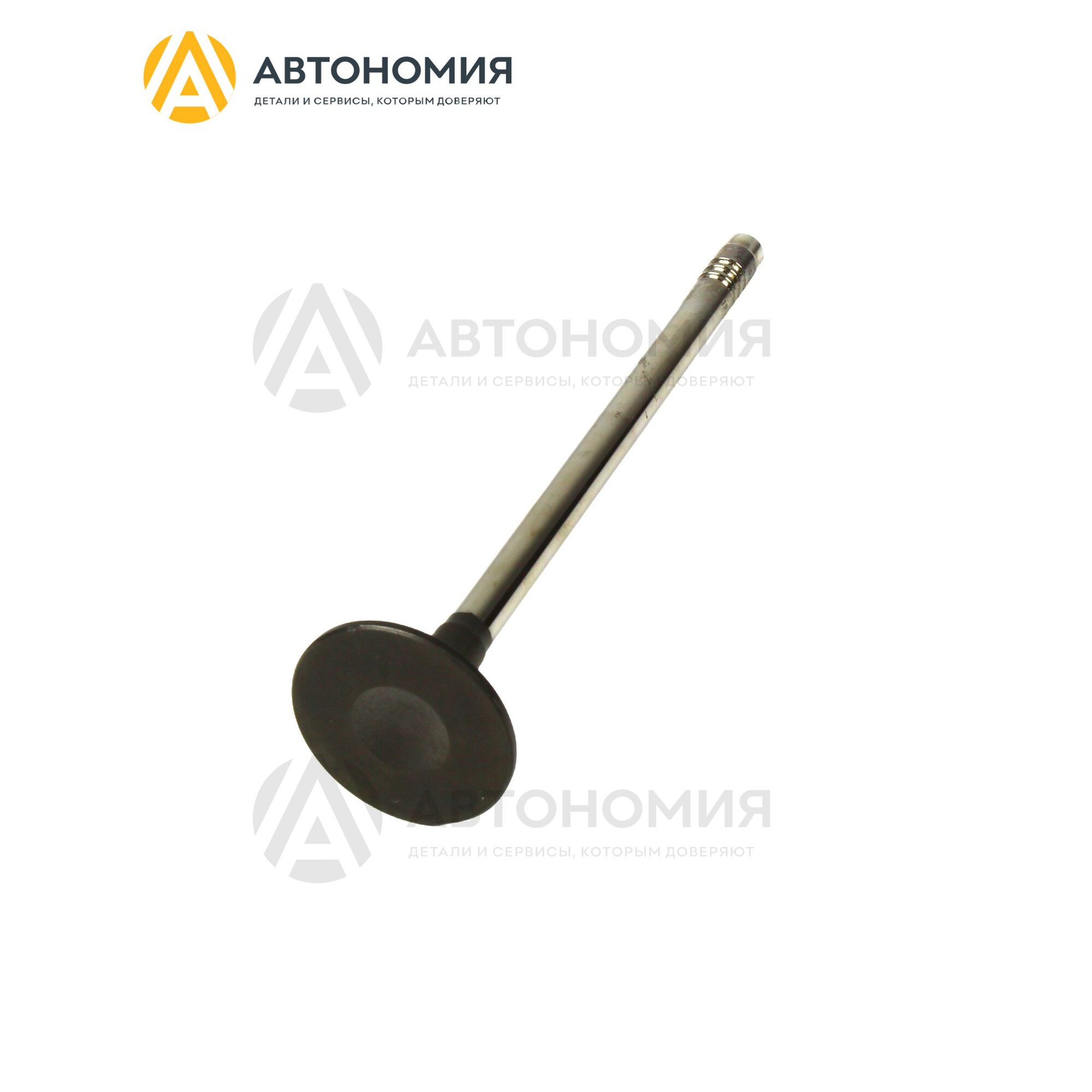 Клапан выпускной M36T/T1A T1D Chery F4J20-1007012