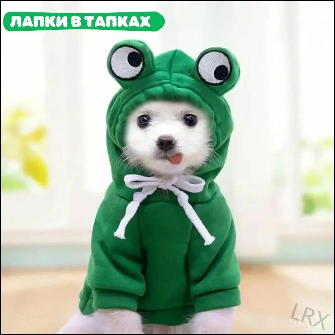 Одежда для животных — фото 1