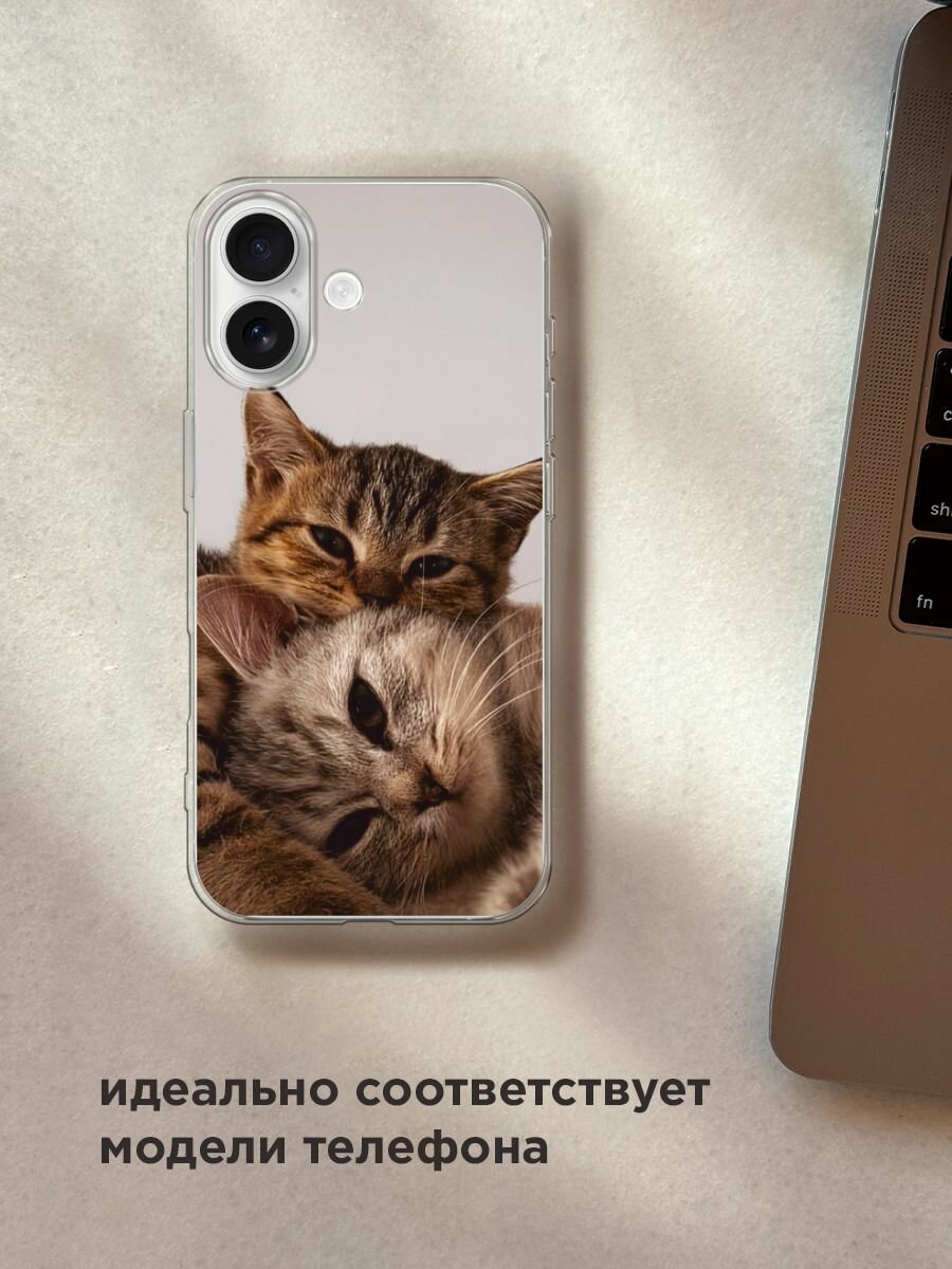 Чехол на Apple iPhone 17 / Айфон 17 с принтом "Нежные котята - 14 февраля" — фото 1