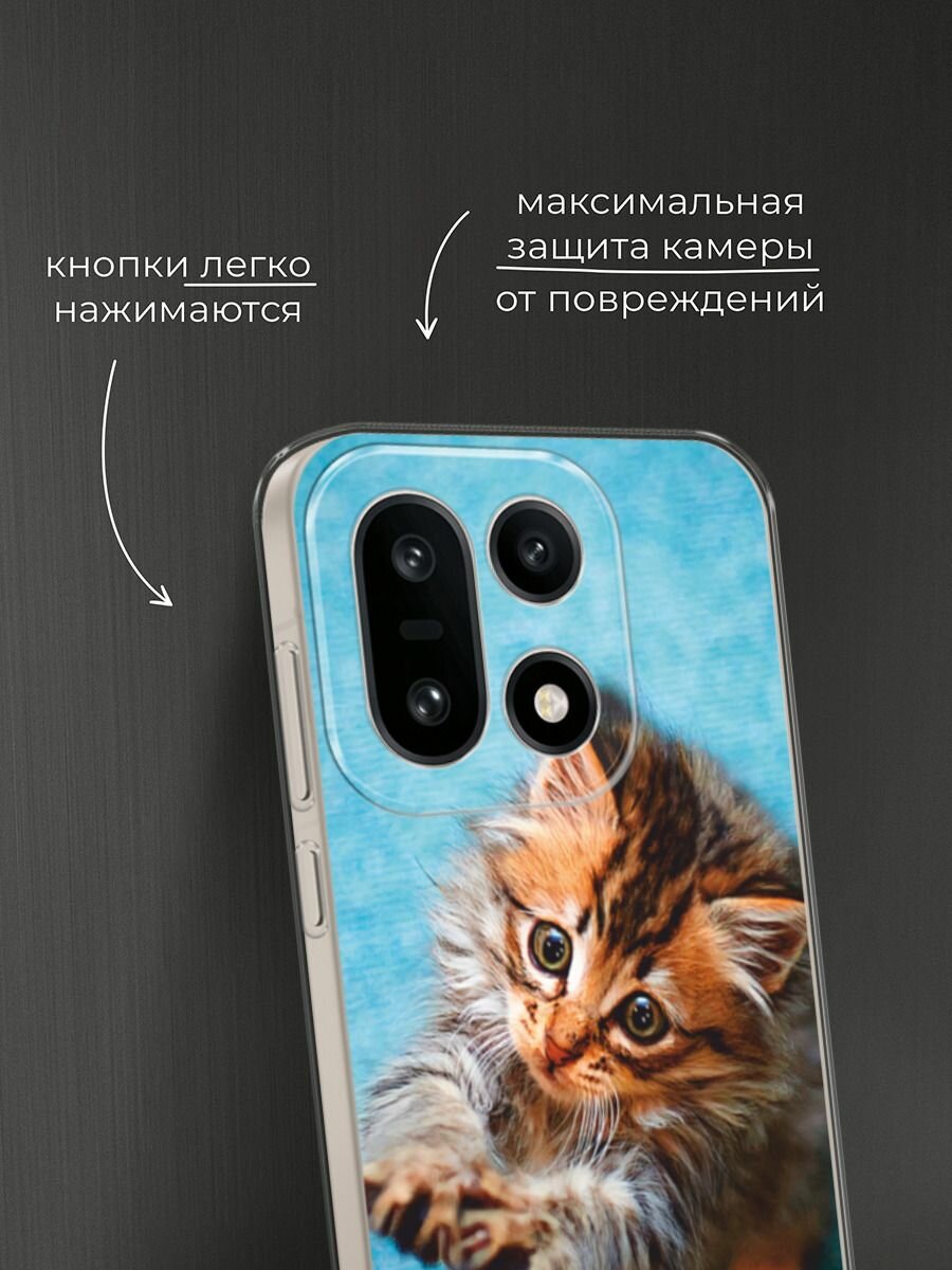 Чехол на OnePlus 15 / Ван Плас 15 с принтом Котенок просит есть — фото 1
