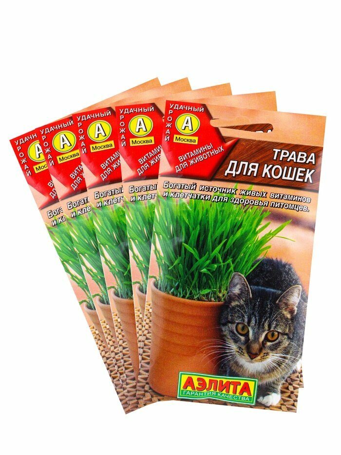 Набор семян "Трава для кошек", 5 шт.