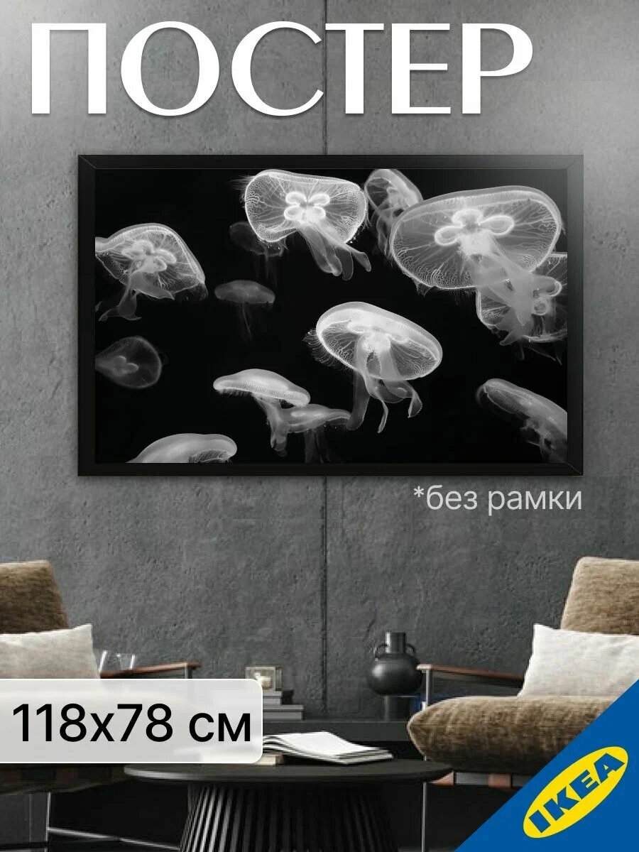 Постер 118х78 см, медуза, без рамы, IKEA PJАTTERYD пьеттерид