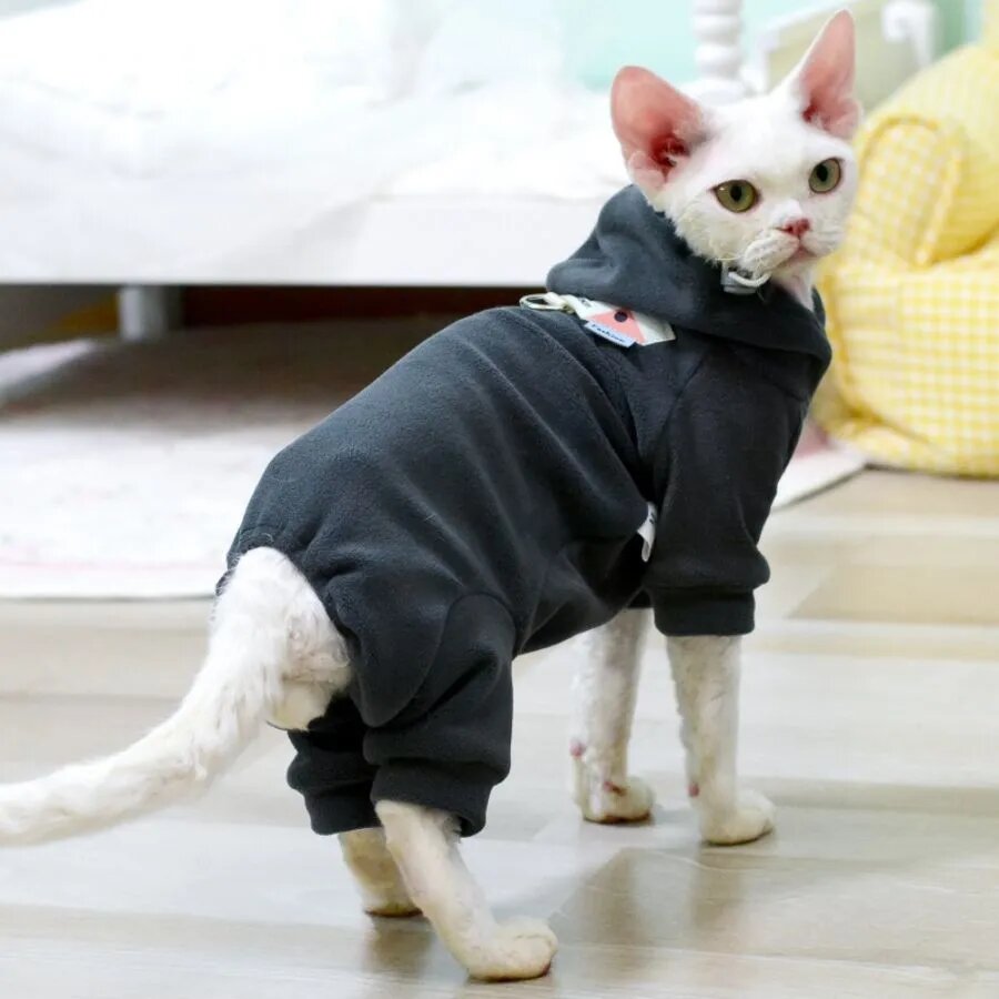Костюм, комбинезон, худи, толстовка для сфинкса