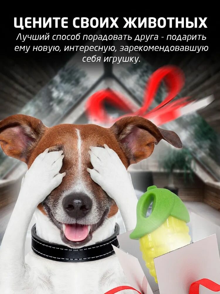 Игрушка для животных — фото 1