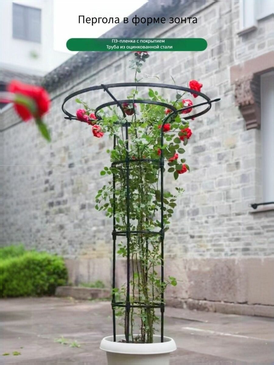 Подставка для зонтичных цветов, рамка для лазания по розам