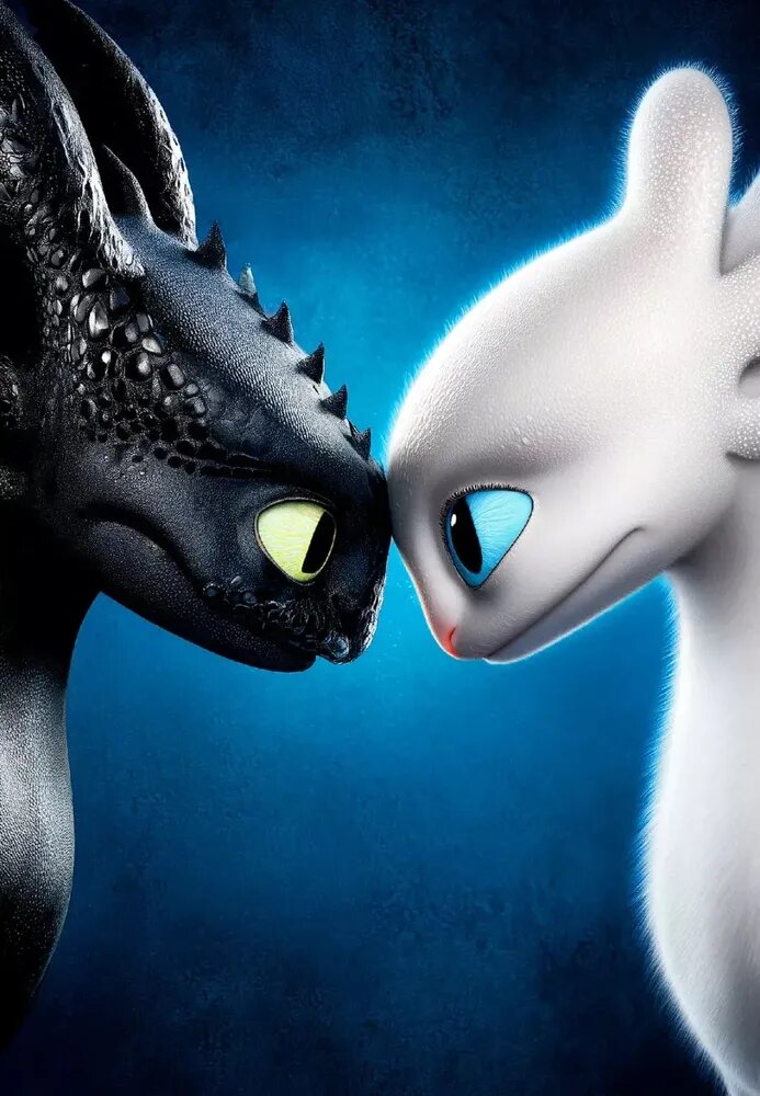 Алмазная Картина "Как Приручить Дракона" 40х50 См Алмазная Вышивка / Картина Стразами Подарков