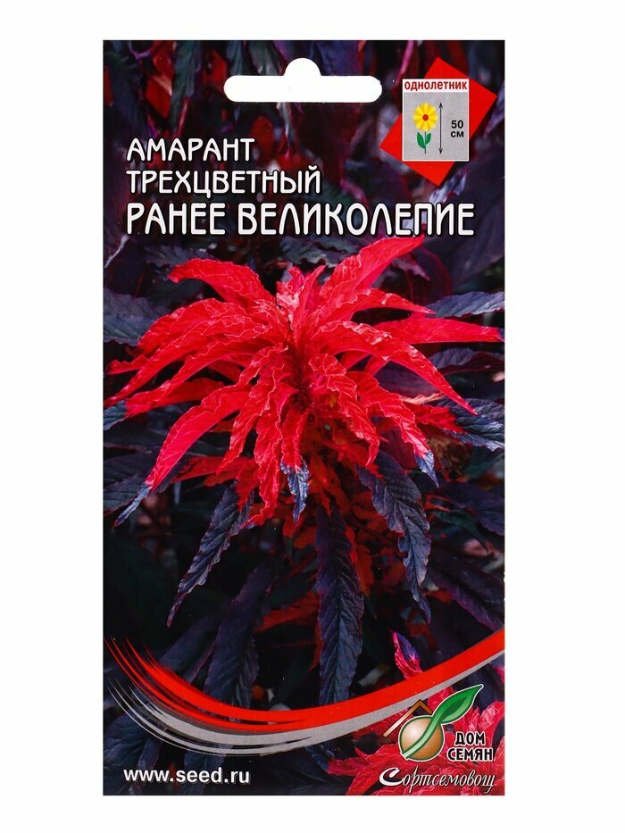 Семена цветов Амарант трёхцвет. Раннее Великолепие 100 шт 10965524