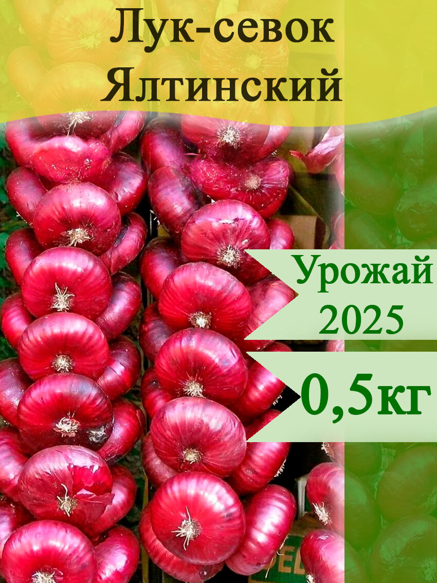 Лук севок Ялтинский красный 0,5 кг