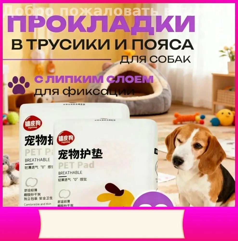 Эксклюзивные гигиенические вкладыши для собак, 30 штук, применяемые в трусы или пояс во время течки