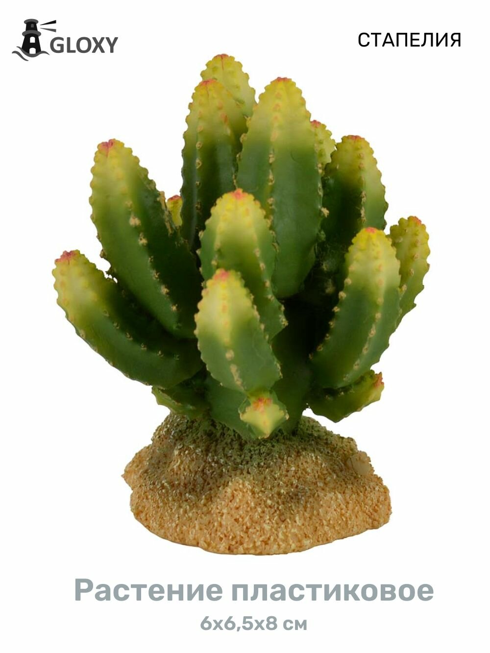 Растение пластиковое для террариума Gloxy Стапелия, 6х6,5х8 см