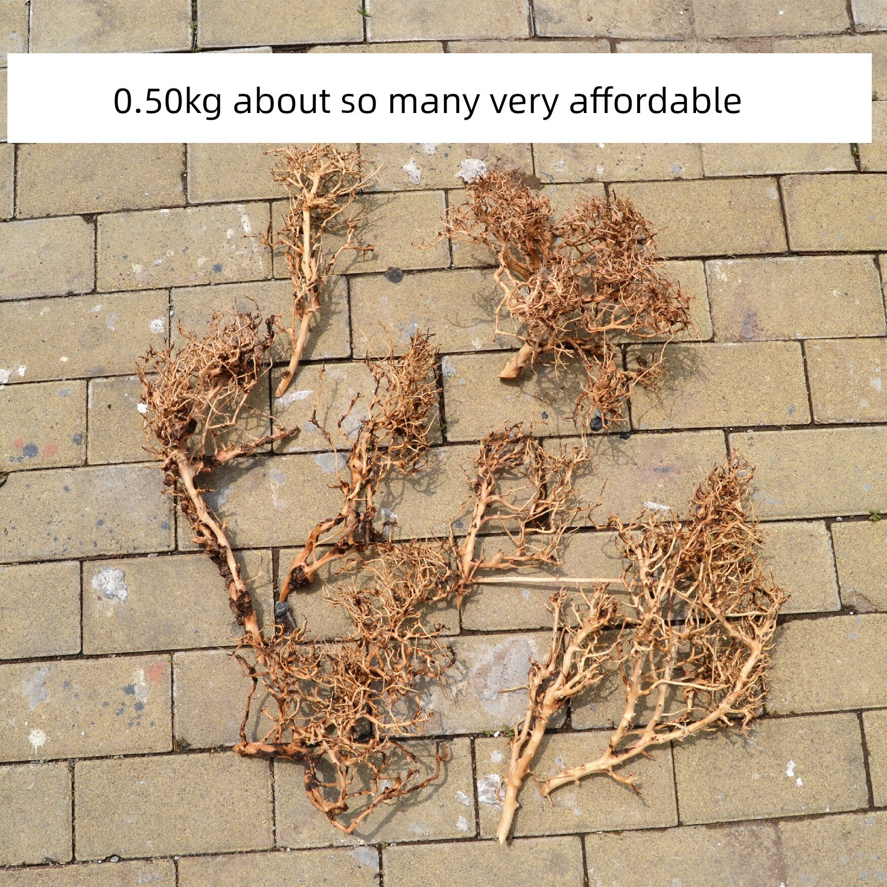 Тонкие ветви для аквариумного ландшафта, южноамериканские аквариумы, бразильский мх, ландшафтные работы с травами,