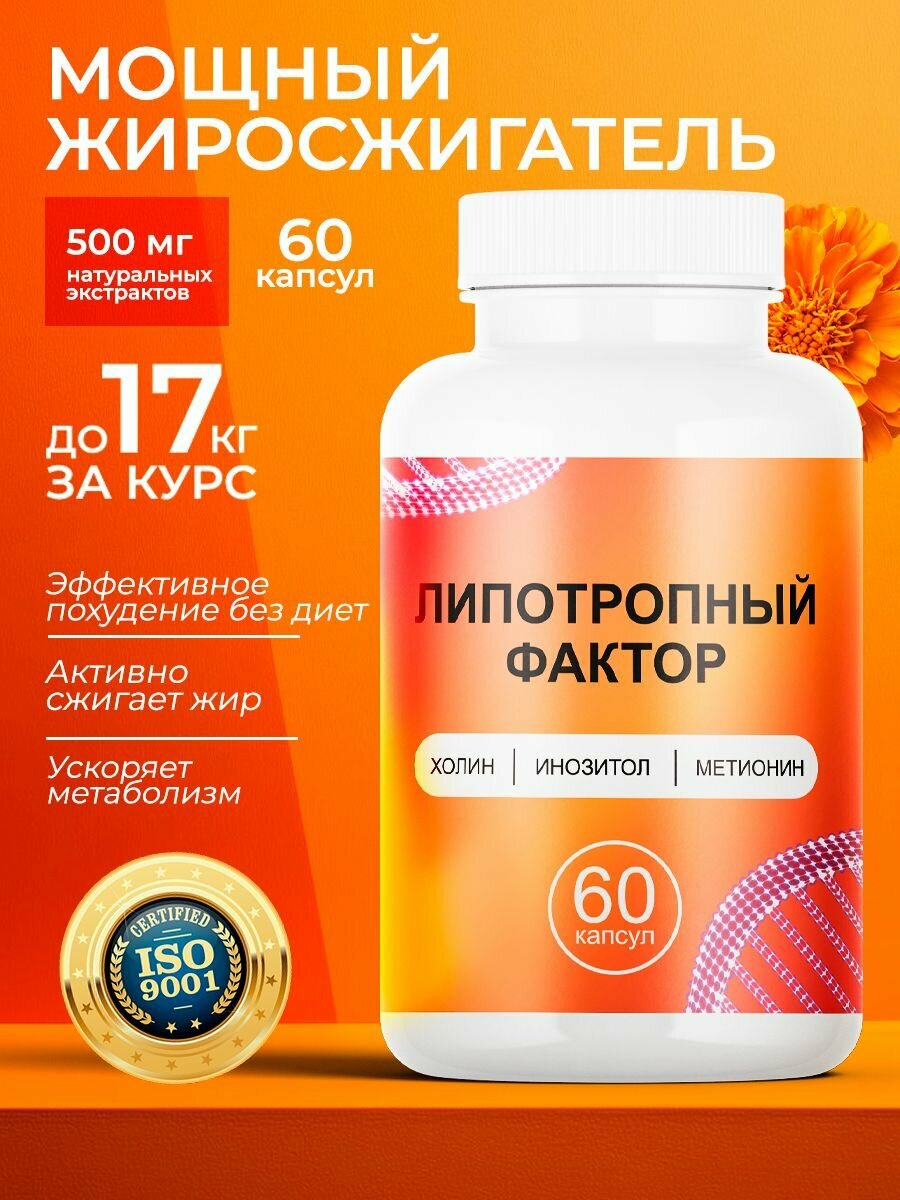 Жиросжигатель "Липотропный Фактор", капсулы, для похудения и контроля веса, 60 шт