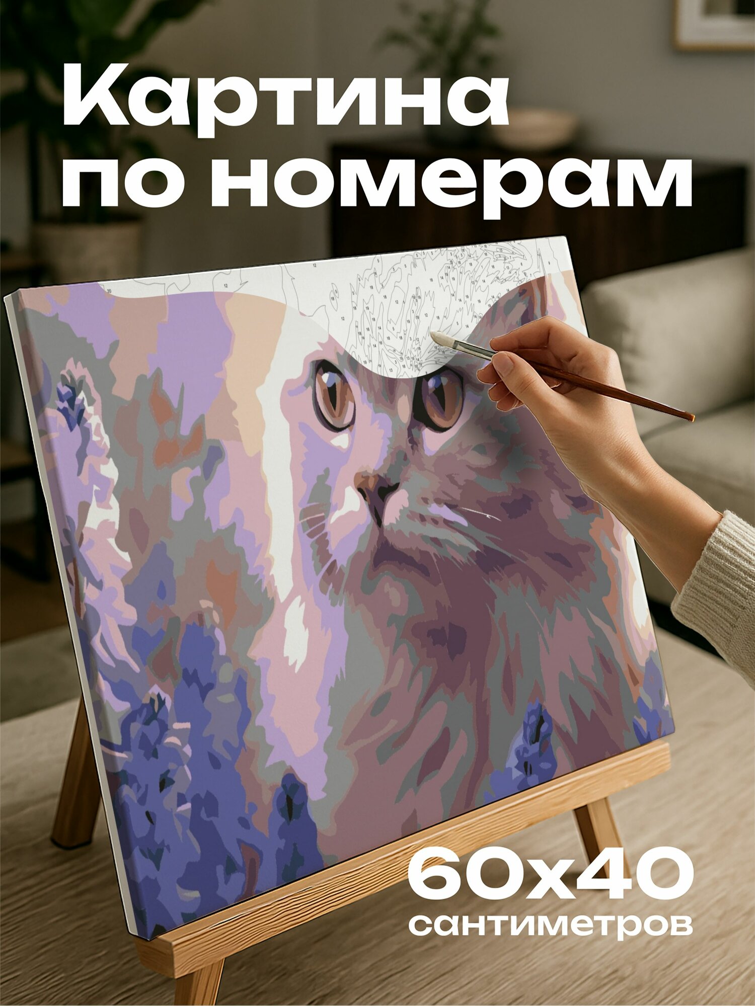 Картина по номерам 60x40 см, цифровая картина, царственная британская ко, пушистая шерсть, зеленые глаза
