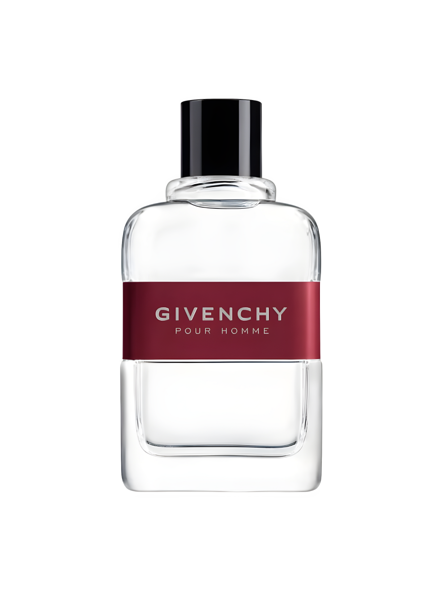 Туалетная вода Givenchy мужская Givenchy Pour Homme 100 мл
