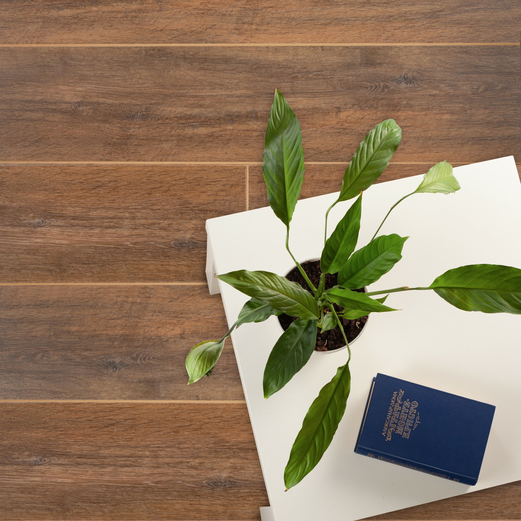 Ламинат Tarkett Ballet 33 класс 8 мм Раймонда (в уп. 8 шт./2.005 м2)