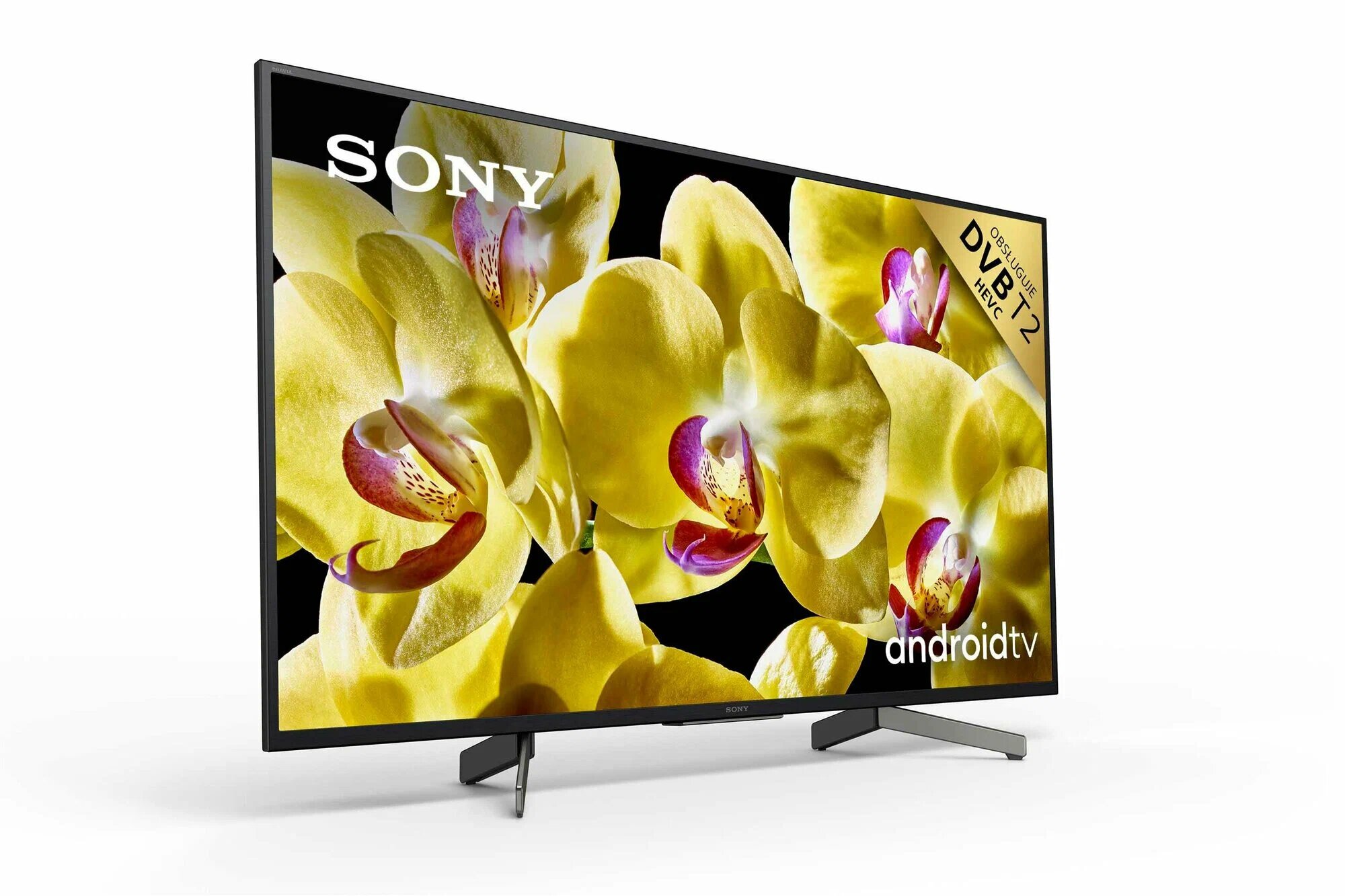 Телевизор Sony KD-49XG8096 - 49" (123 см), 2019 IPS, черный, 4K UHD