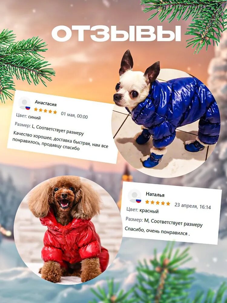 Одежда для животных — фото 1