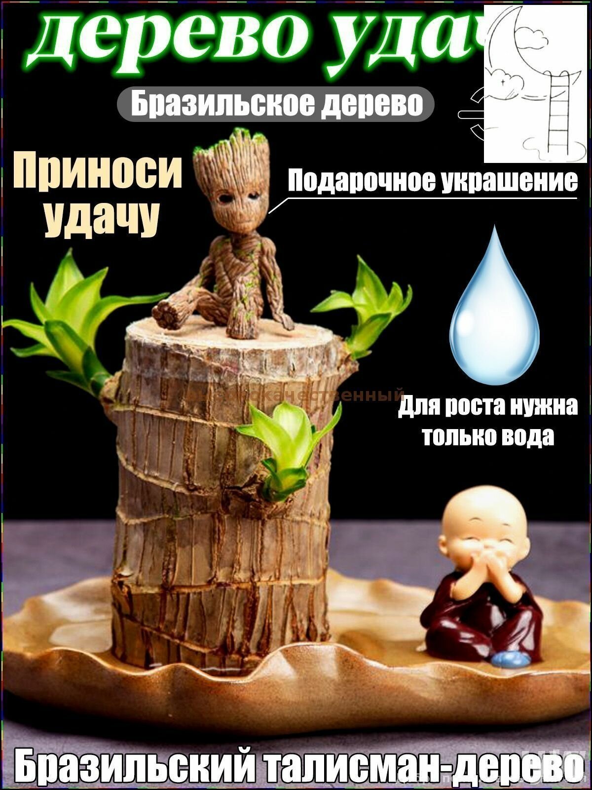 Эксклюзивный бамбук удачи с фигуркой Грута, живое растение в воде, представлено как стильный декор для интерьера дома или офиса, идеальный подарок для привлечения счастья и благополучия
