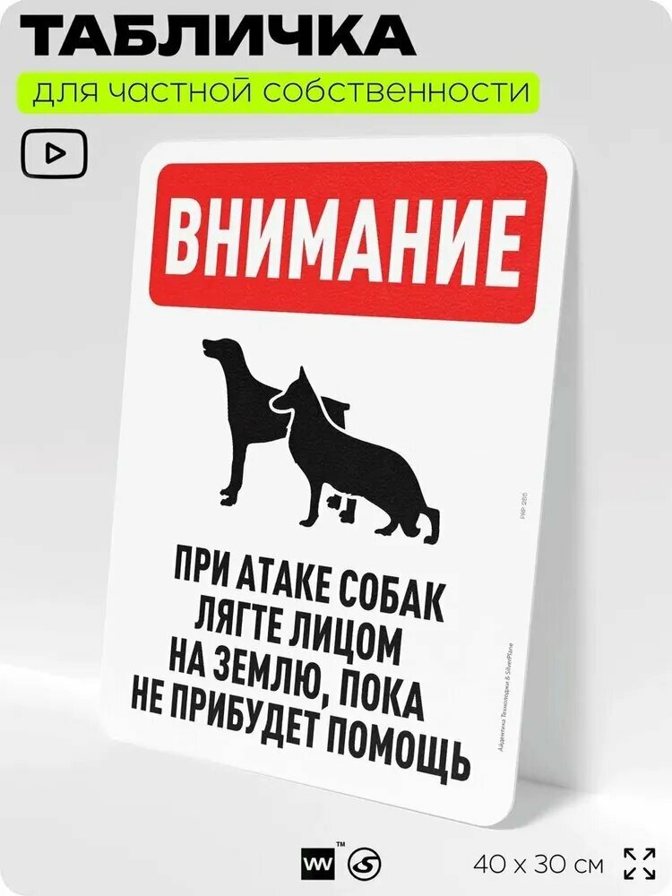 Табличка для частной территории "Внимание, при атаке собак лягте лицом на землю", на дом, для участка, организаций и частных территорий, предупреждающая, 40х30 см, Silver Plane x Айдентика Технолоджи