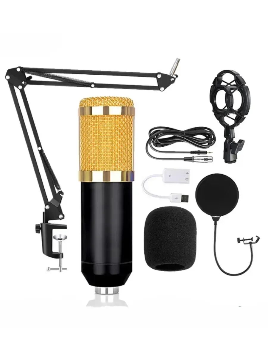 Микрофон профессиональный