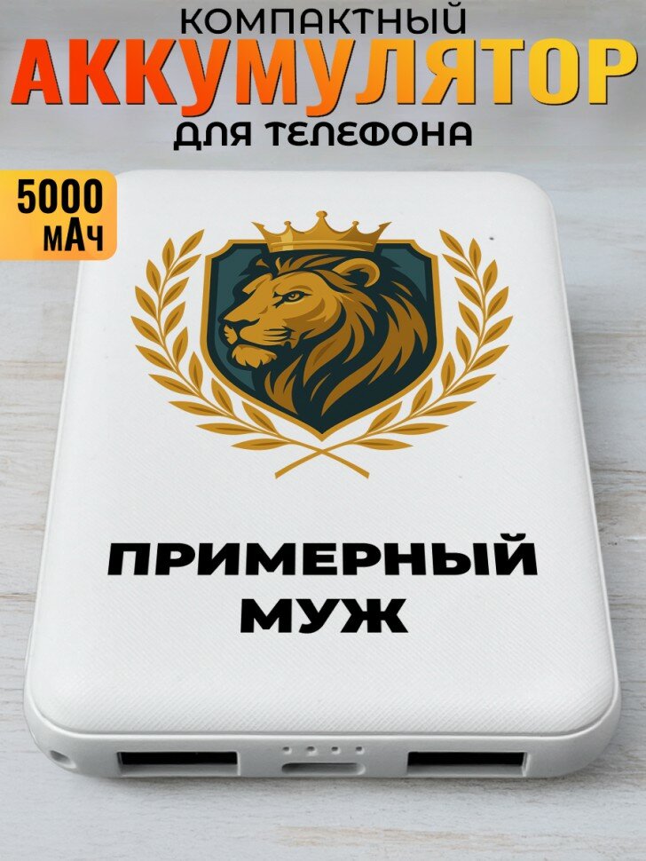 Повербанк "Примерный муж"