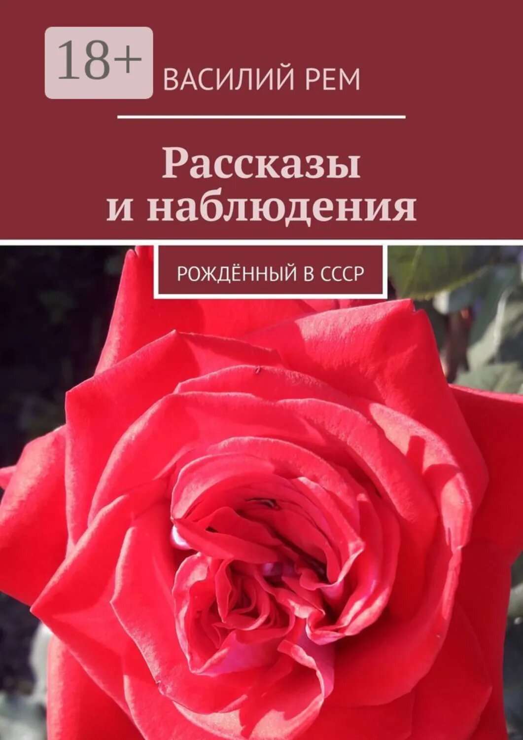 Рассказы и наблюдения. Рождённый в СССР [Цифровая книга]