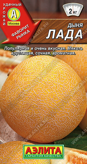 Дыня Лада