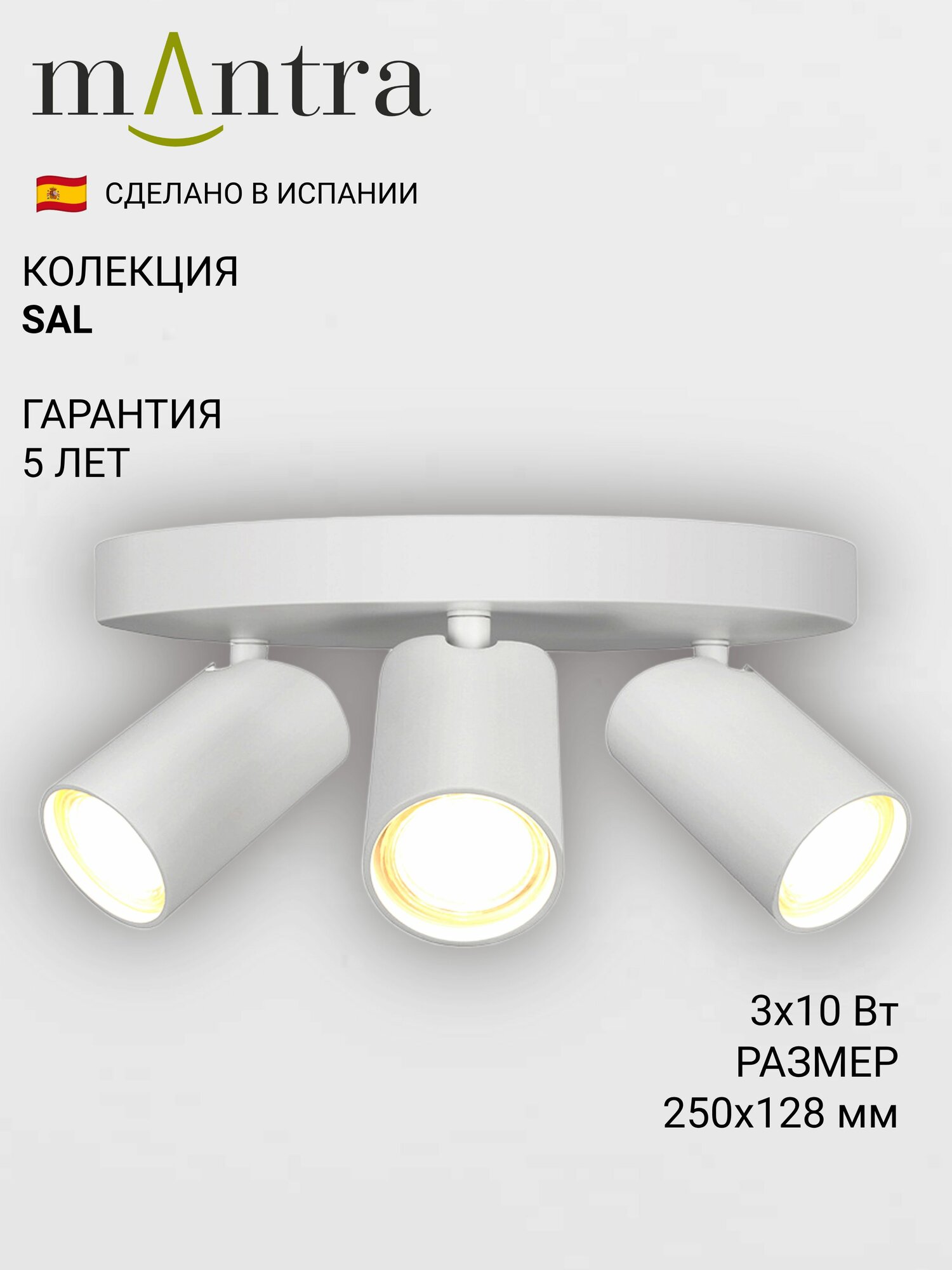 Потолочный светильник-спот SAL 7961