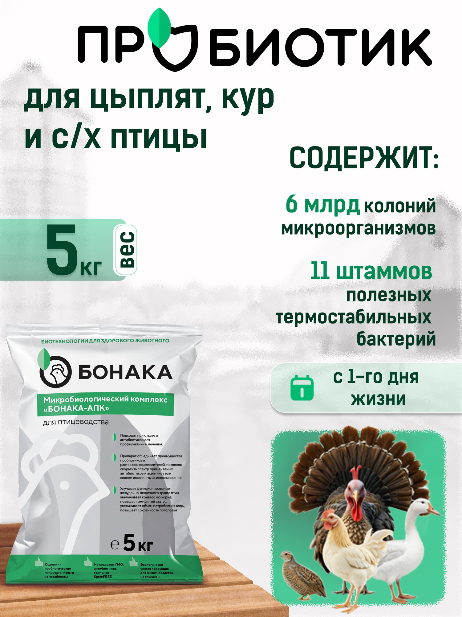Кормовая добавка для цыплят, кур и прочей с/х птицы Пробиотик бонака-апк, сухая форма 5 кг