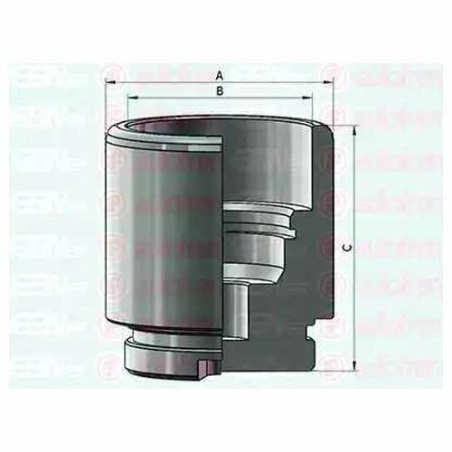 Поршень заднего суппорта Seinsa/Autofren D025641 для Ford Tourneo Custom, TRANSIT; VW Amarok