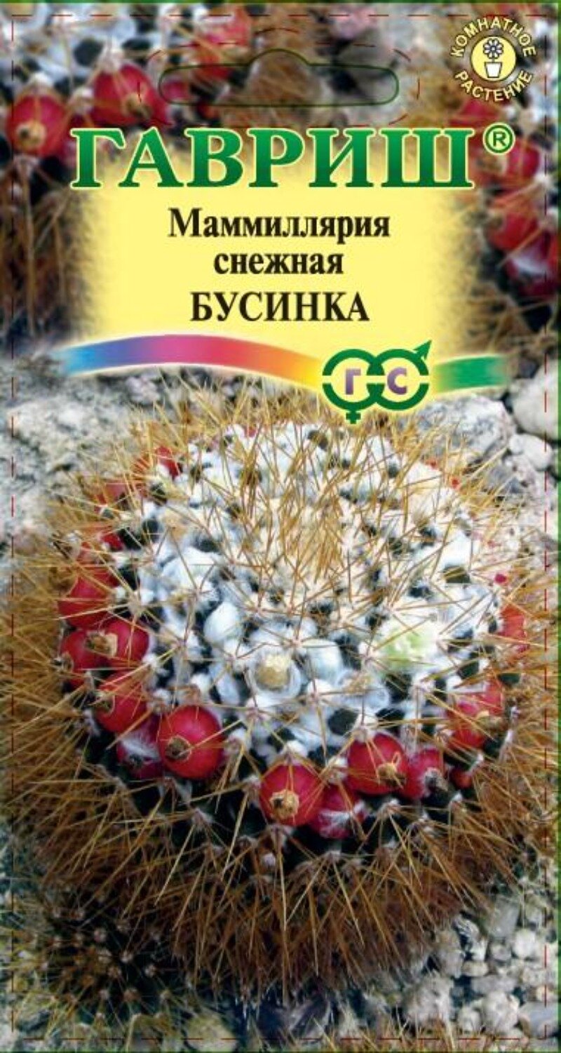Семена Кактус Бусинка (2 шт), Агрофирма Гавриш, комнатное растение