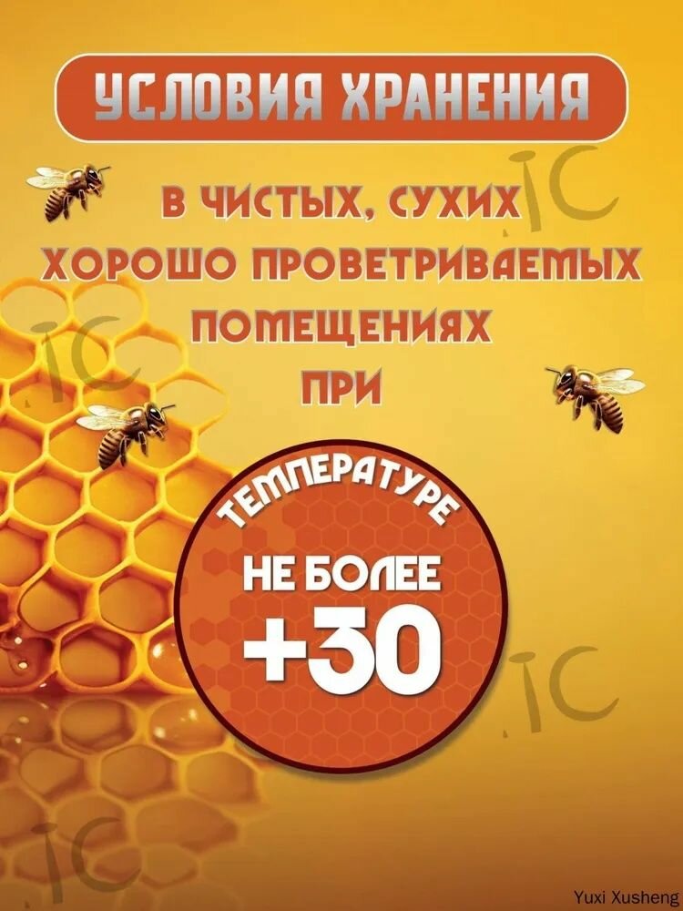 ВощинаSD — фото 1