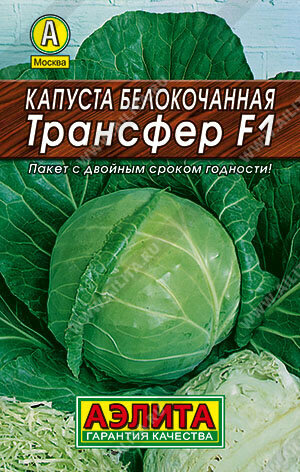 Семена капусты аэлита "Трансфер F1", скороспелый гибрид, устойчив к растрескиванию