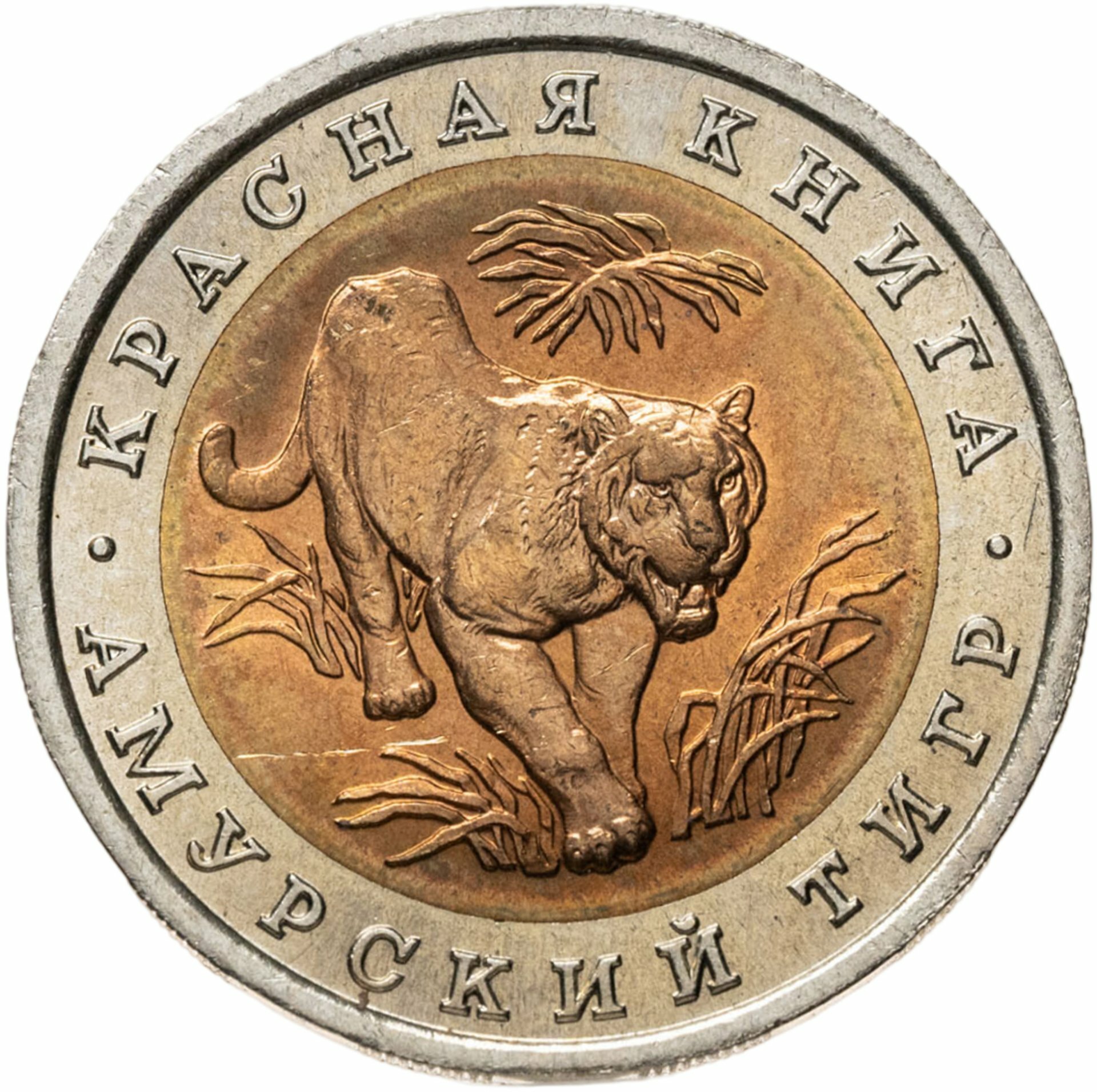 10 рублей 1992 ЛМД амурский тигр, Биметалл, в сохранности AU