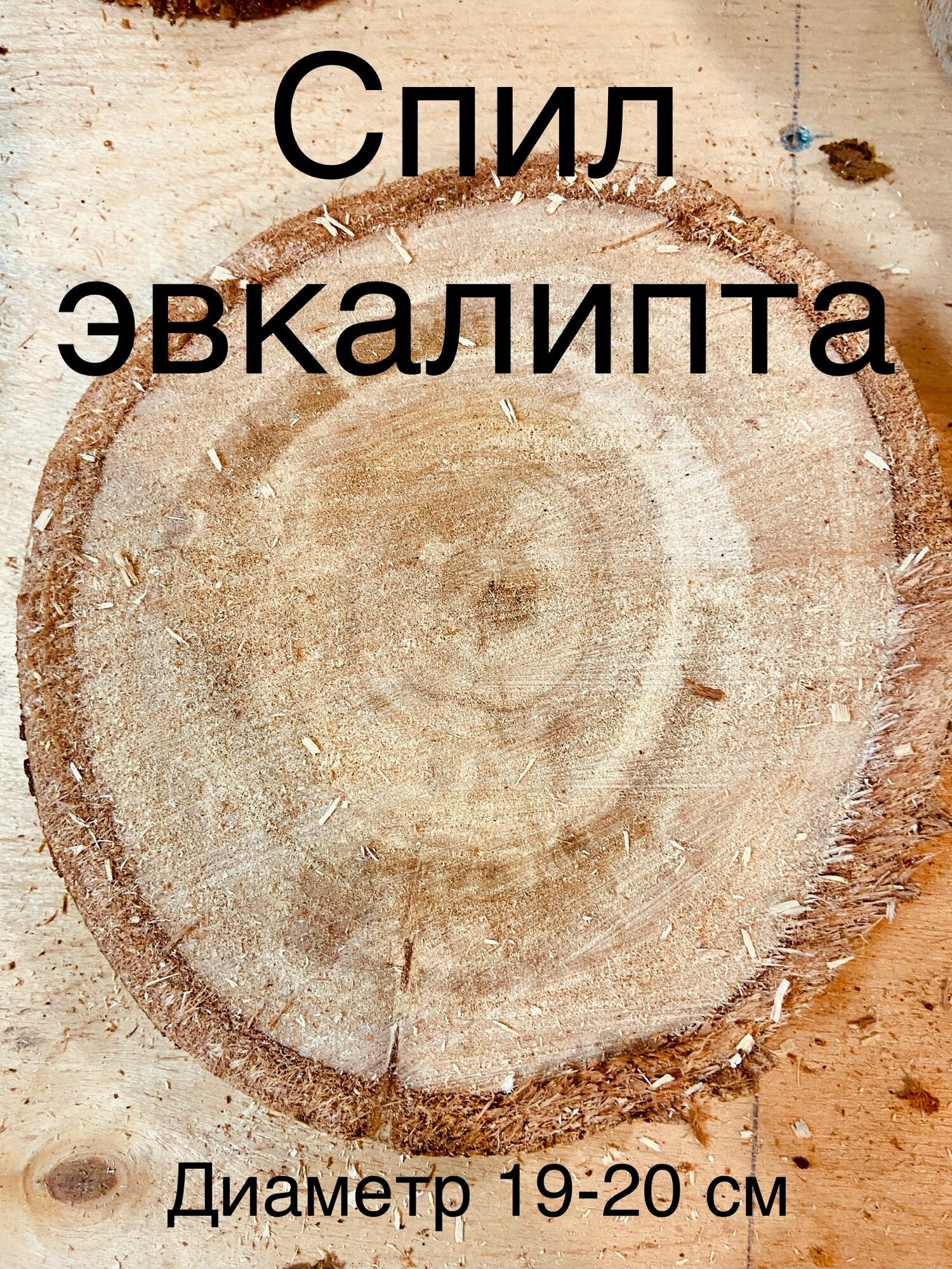Спил Слэб Эвкалипта диаметр 19-20 см