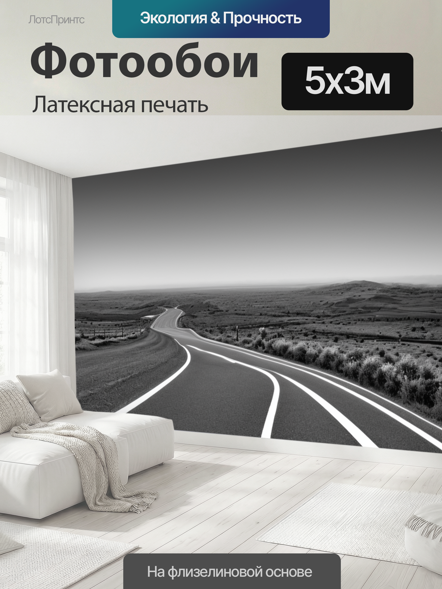 Фотообои моющиеся ударопрочные "Черно белый пейзаж с дорогой" 500x300 см. латексная печать