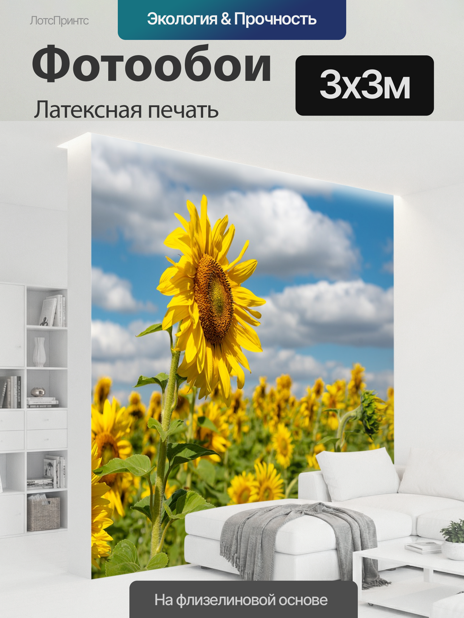 Фотообои моющиеся ударопрочные "Подсолнухи, поле подсолнечника, подсолнечная ферма" 300x300 см. латексная печать