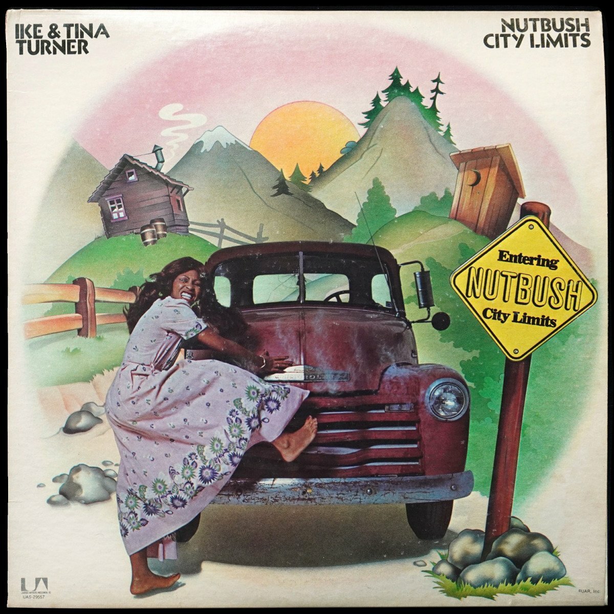 Виниловая пластинка United Artists Ike & Tina Turner – Nutbush City Limits