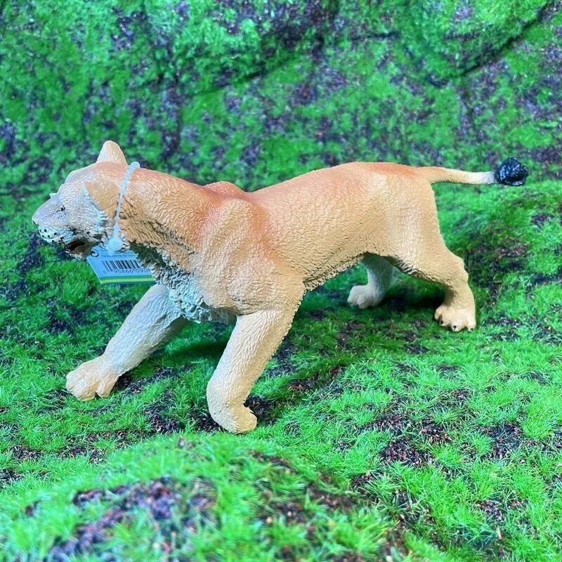 Фигурка Safari Ltd Модели диких животных имитационные пластиковые статичные фигурки для детей