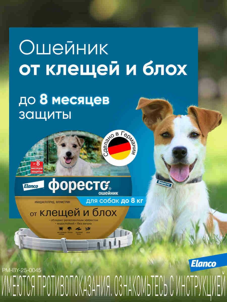Форесто® ошейник от клещей и блох для собак до 8кг