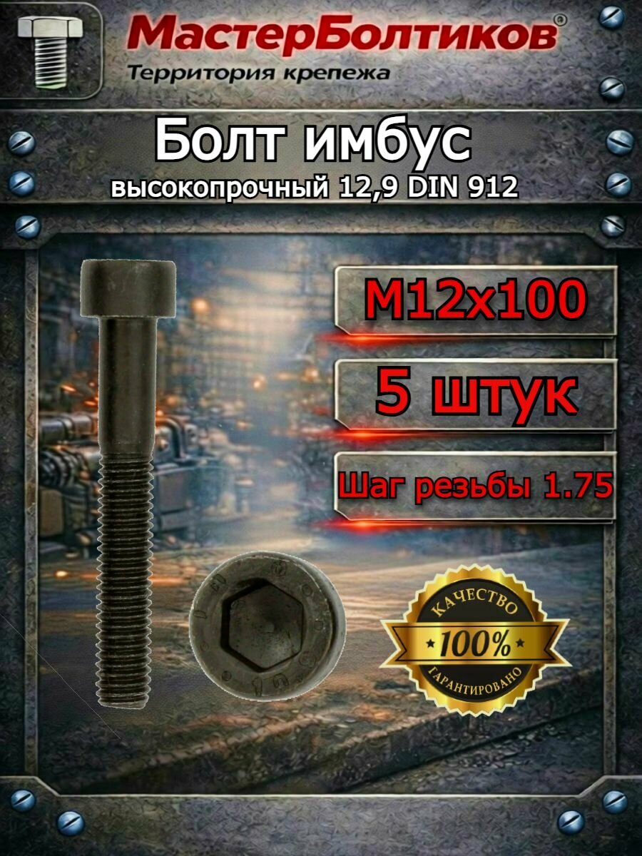 Болт имбус 12х100 высокопрочный кл.12,9 DIN 912 "МастерБолтиков" (5 шт)
