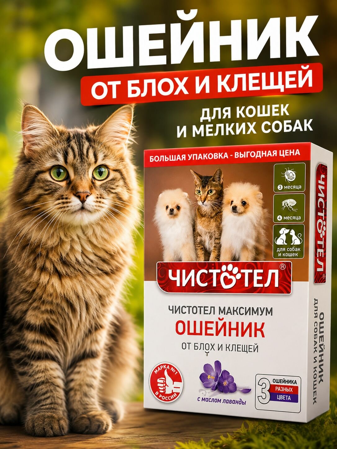 Чистотел Максимум ошейник 40 см 3 шт для кошек и мелких собак от блох и клещей, набор разноцветных защитных ошейников от вшей и власоедов, противопаразитарный ветпрепарат фипронил и перметрин