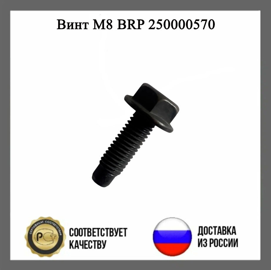 Винт М8 BRP 250000570